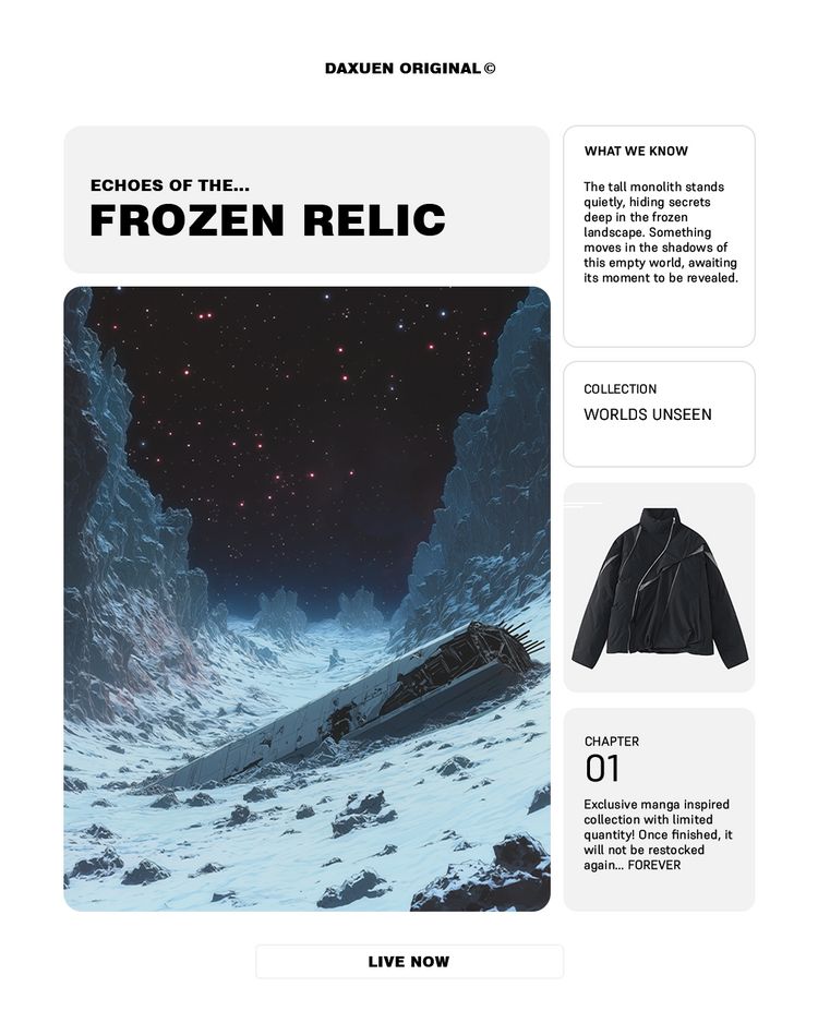 The Echoes Of The Frozen Relic Jacket – DAXUEN
